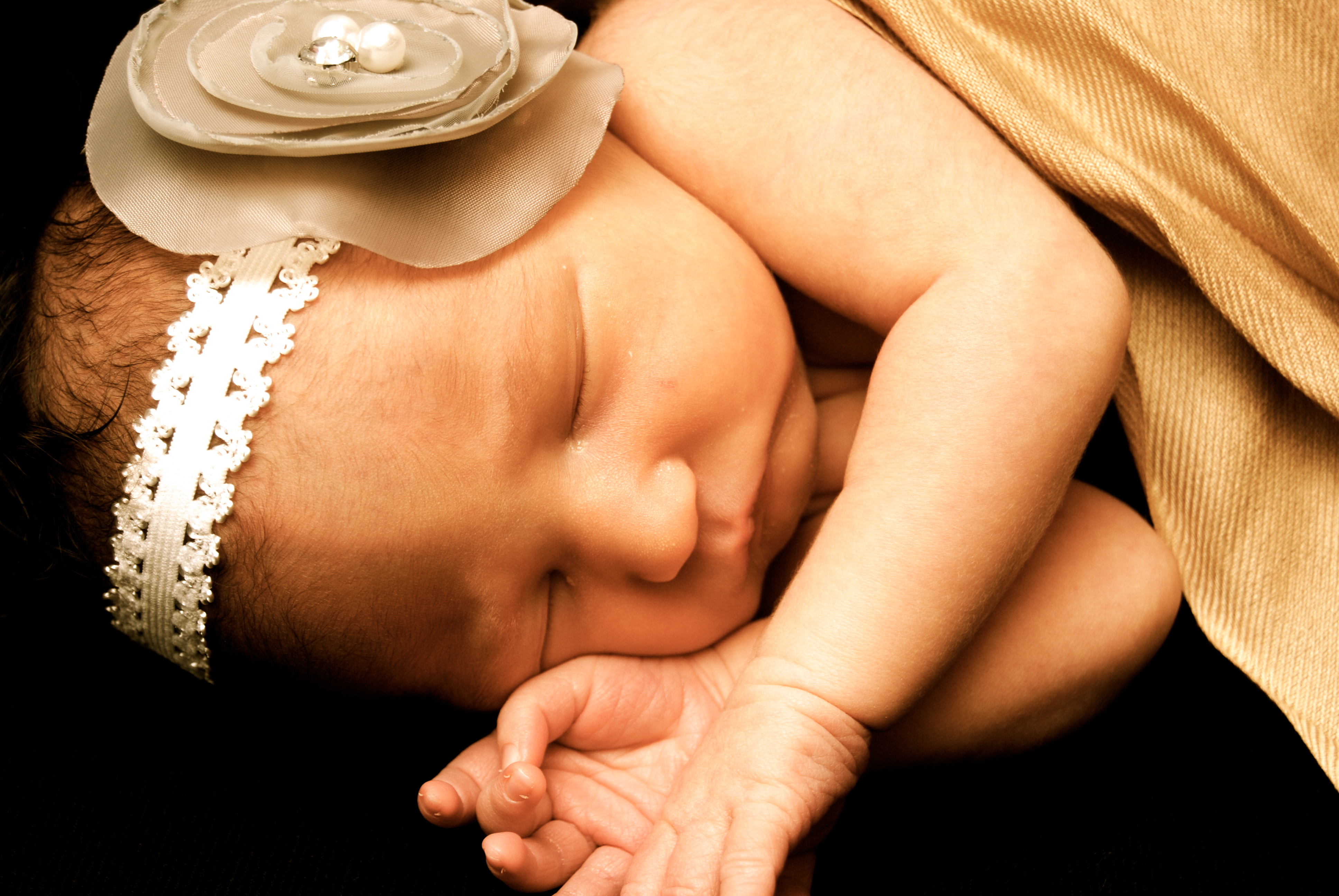 DSC_0790 – Biscuits 'n Crazy